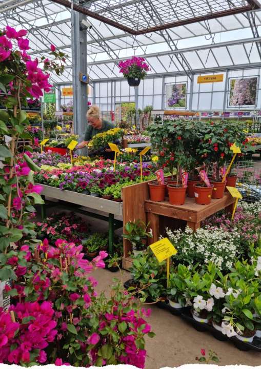 Tuincentrum de Oosteinde